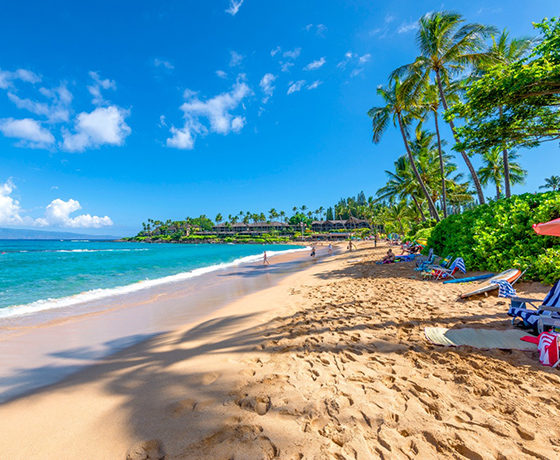 OUR STORY - One Napili Way